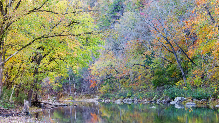Autumn Along the Buffalo National River in Boxley Valley - Steve Creek ...